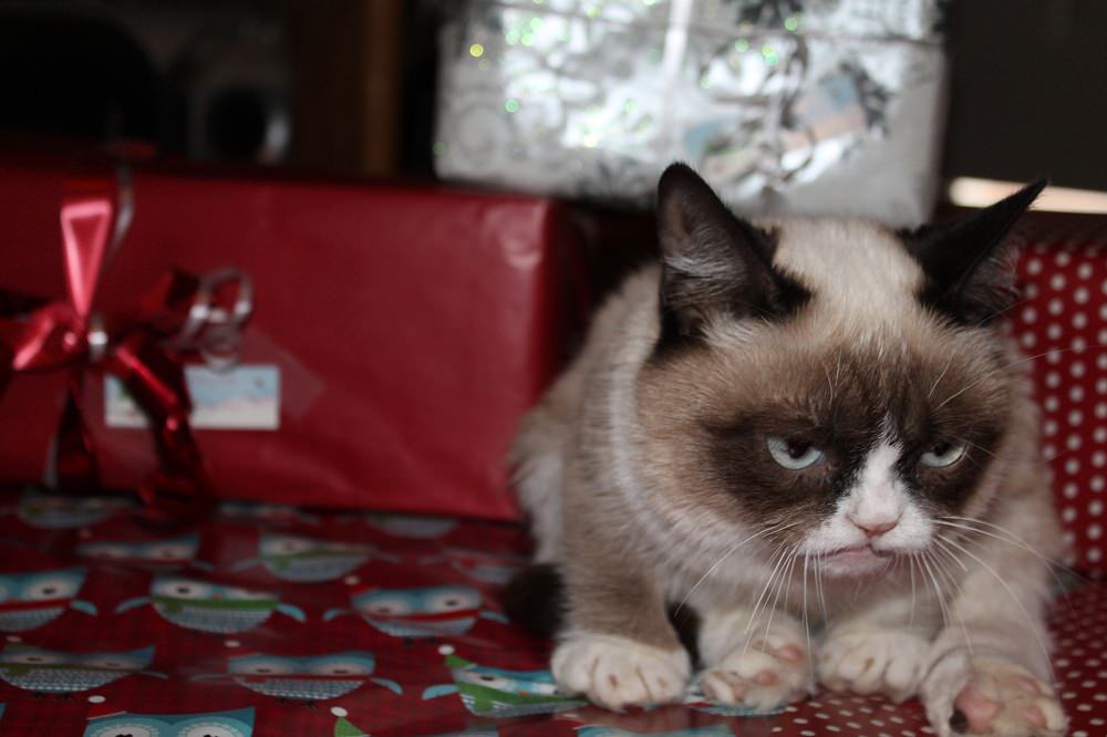 December 19th, 2012 | Grumpy Cat®