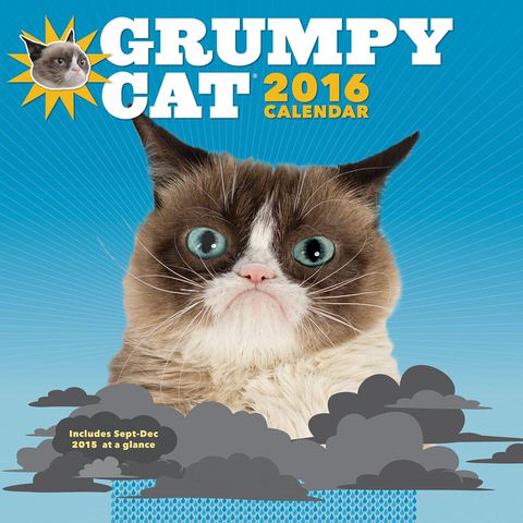 The world’s grumpiest cat! | Grumpy Cat®